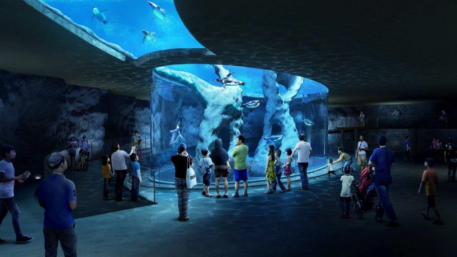 New details on the Mandai Park Project revealed by developer | Great ...