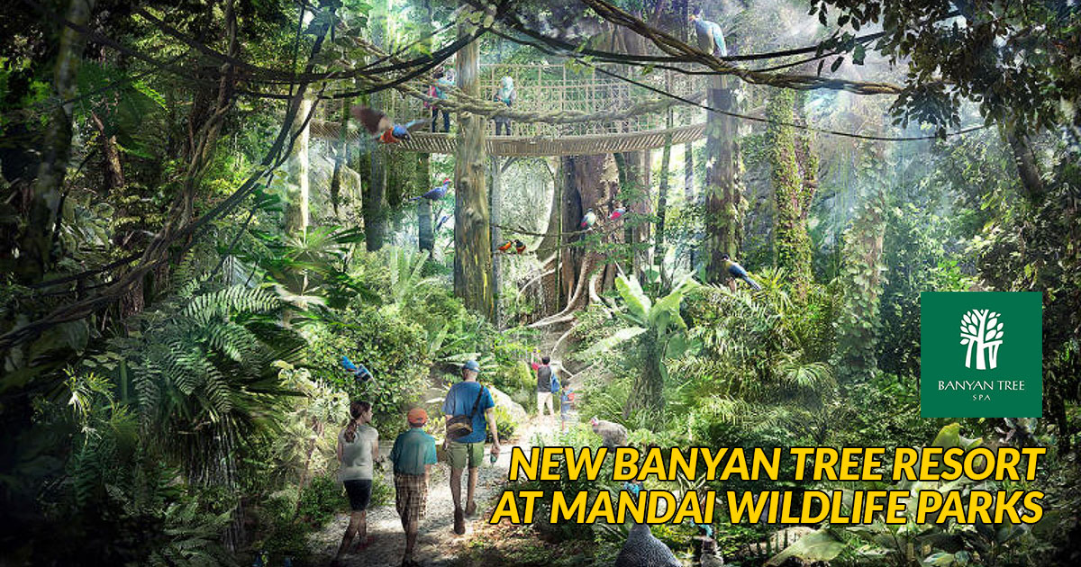 Banyan Tree Hotels to open luxurious eco-friendly resort at Mandai ...
