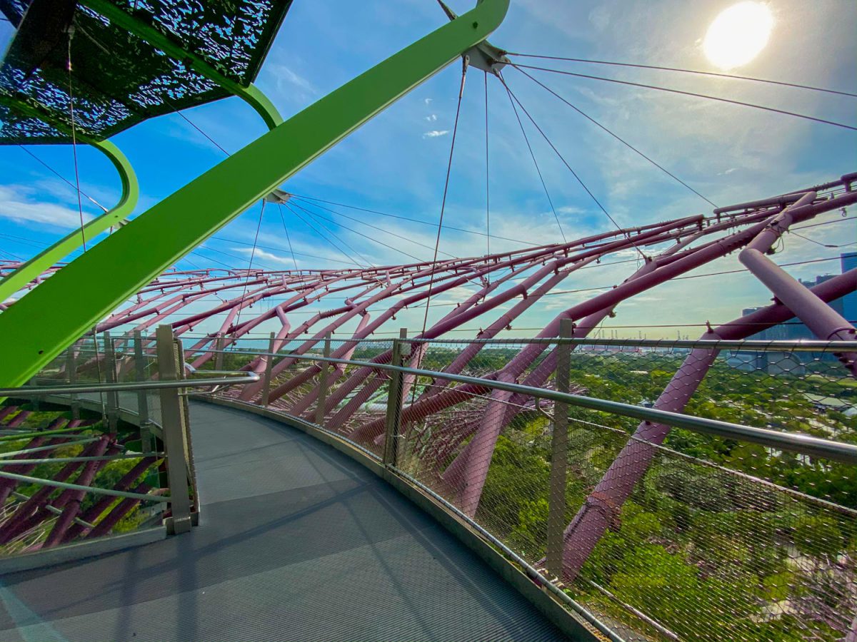 Supertree Observatory at Gardens by the Bay now has Open-Air Rooftop ...