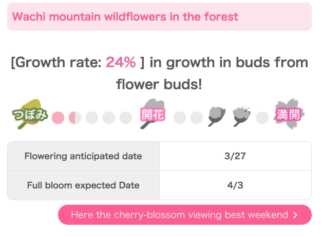 Here are the Sakura blooming dates across Japan for year 2020 as ...