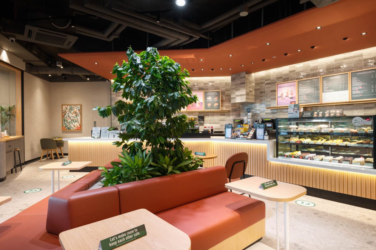 Starbucks opens new store in Gardens by the Bay, has panoramic views of ...