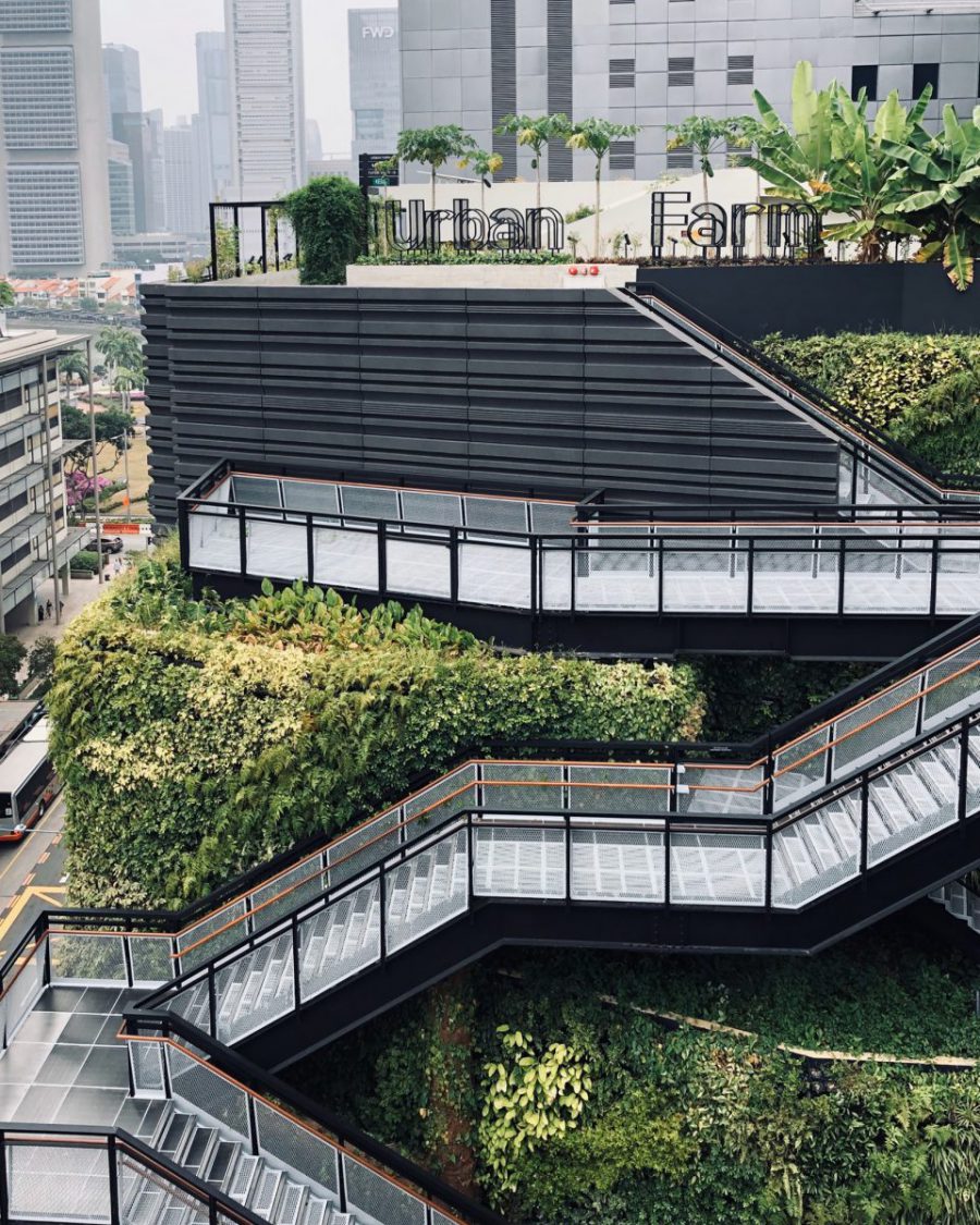 Funan Roof Garden movie screening of DC Super-Pets on Aug 26 & 27 is ...