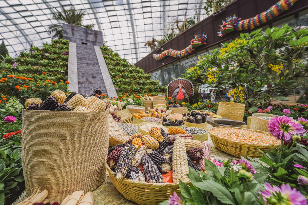 Flower Dome in Gardens by the Bay has Ancient Mexican Displays, Mayan ...