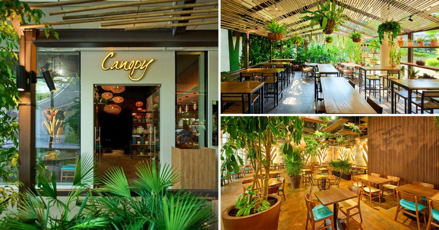 Pet-friendly Canopy Cafe opens in Changi City Point, has spacious ...