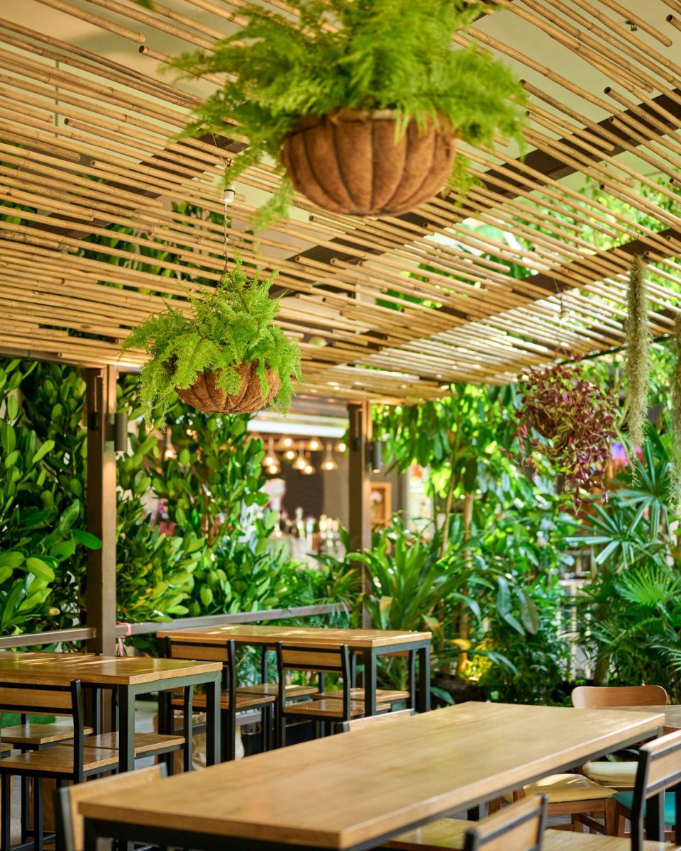 Pet-friendly Canopy Cafe opens in Changi City Point, has spacious ...