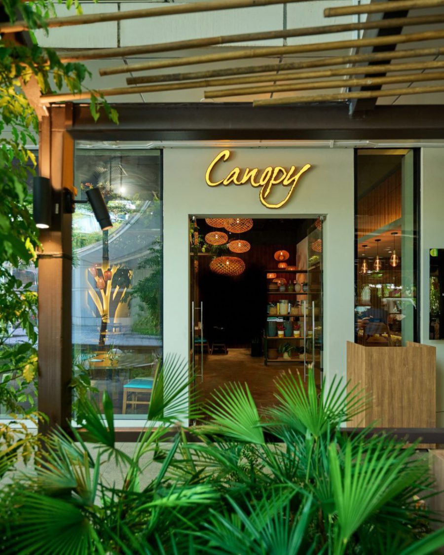 Pet-friendly Canopy Cafe opens in Changi City Point, has spacious ...