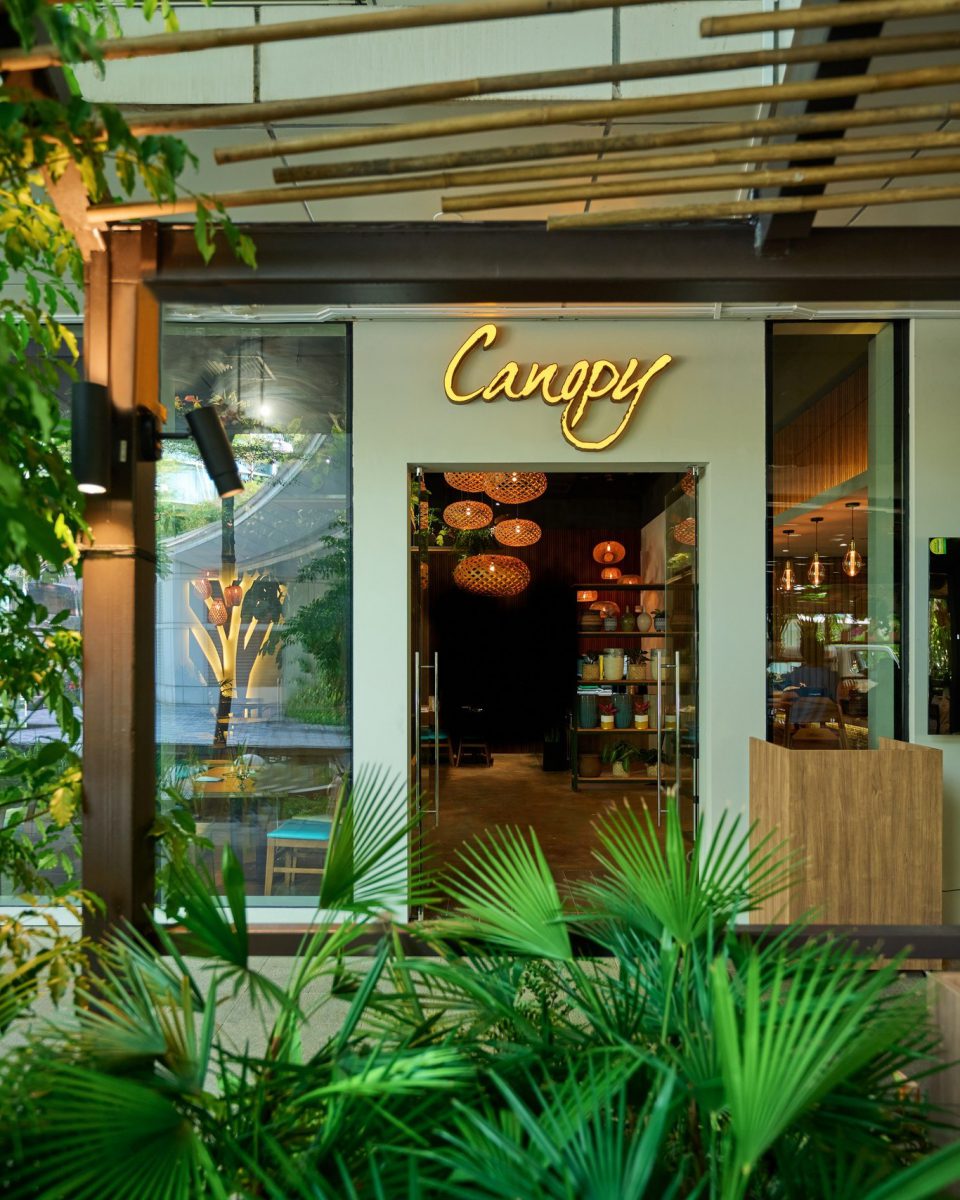 Pet-friendly Canopy Cafe opens in Changi City Point, has spacious ...