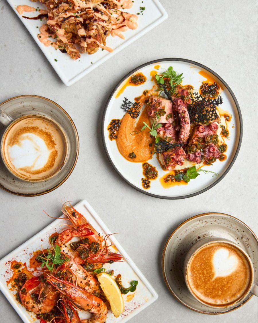 Pet-friendly Canopy Cafe opens in Changi City Point, has spacious ...