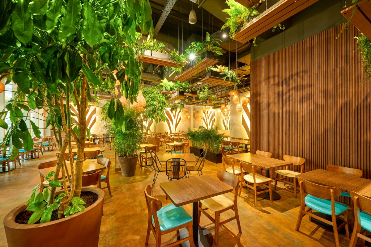 Pet-friendly Canopy Cafe opens in Changi City Point, has spacious ...