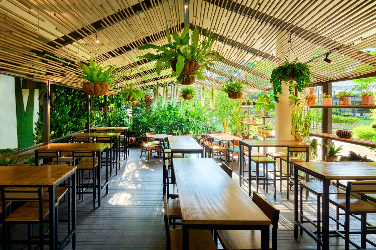 Pet-friendly Canopy Cafe opens in Changi City Point, has spacious ...