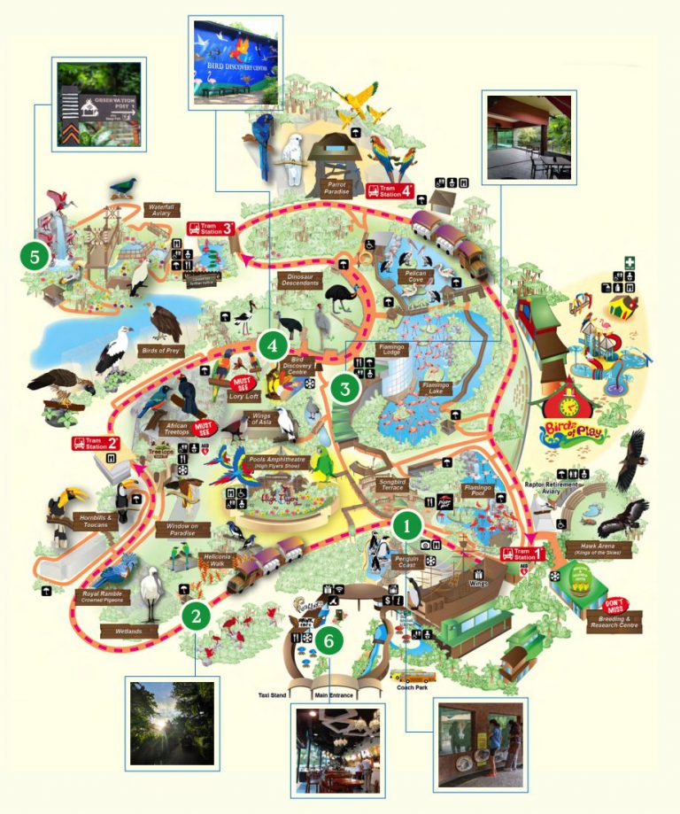 Jurong Bird Park closing in Jan 2023 after 51 years, moving to new home ...
