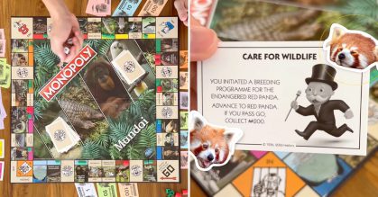 Wildlife-themed Mandai Monopoly available in S'pore, protect your ...
