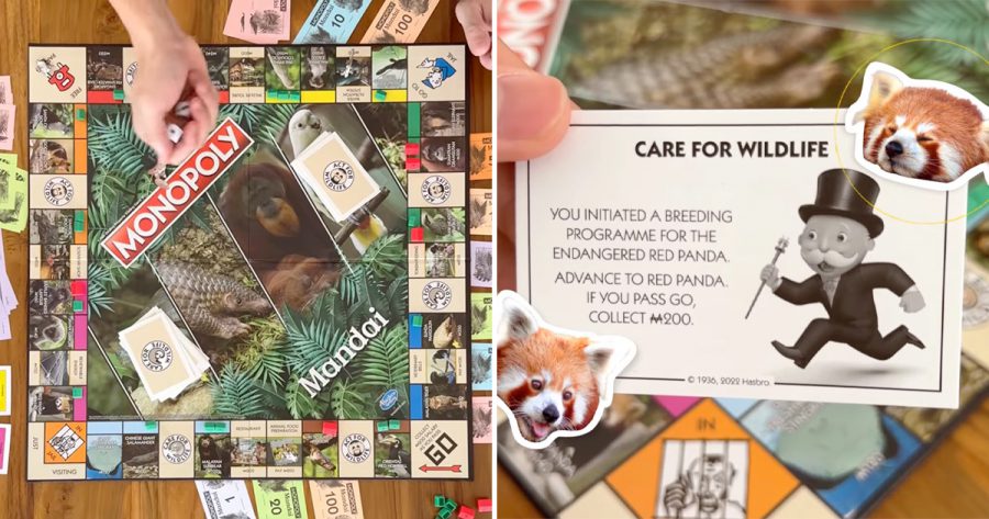 Wildlife-themed Mandai Monopoly available in S'pore, protect your ...
