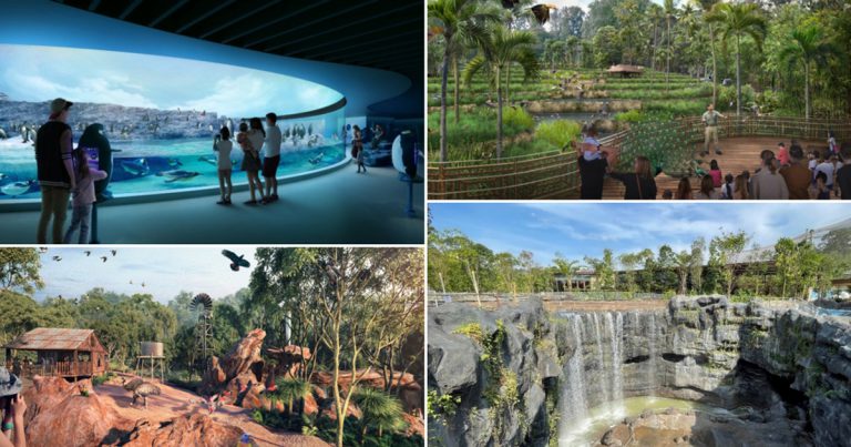 S'pore's new Bird Park opening in 2nd Quarter 2023 will have 8 large ...