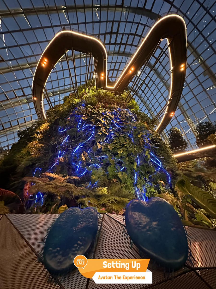 Avatar: The Experience turns Cloud Forest in Gardens by the Bay into a ...