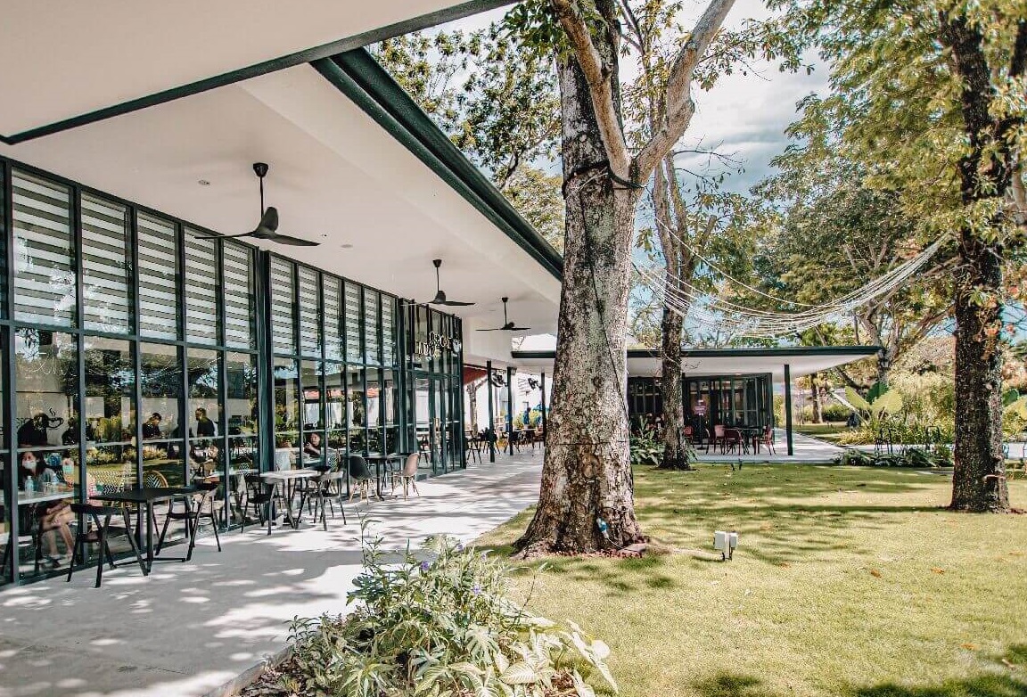 Overflow is the first-ever Live Band Cafe & Bar in Changi Airport T2 ...