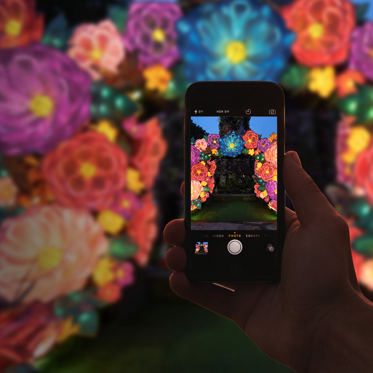 Lots of Giant Lantern Displays light up Gardens by the Bay till Oct 1 ...