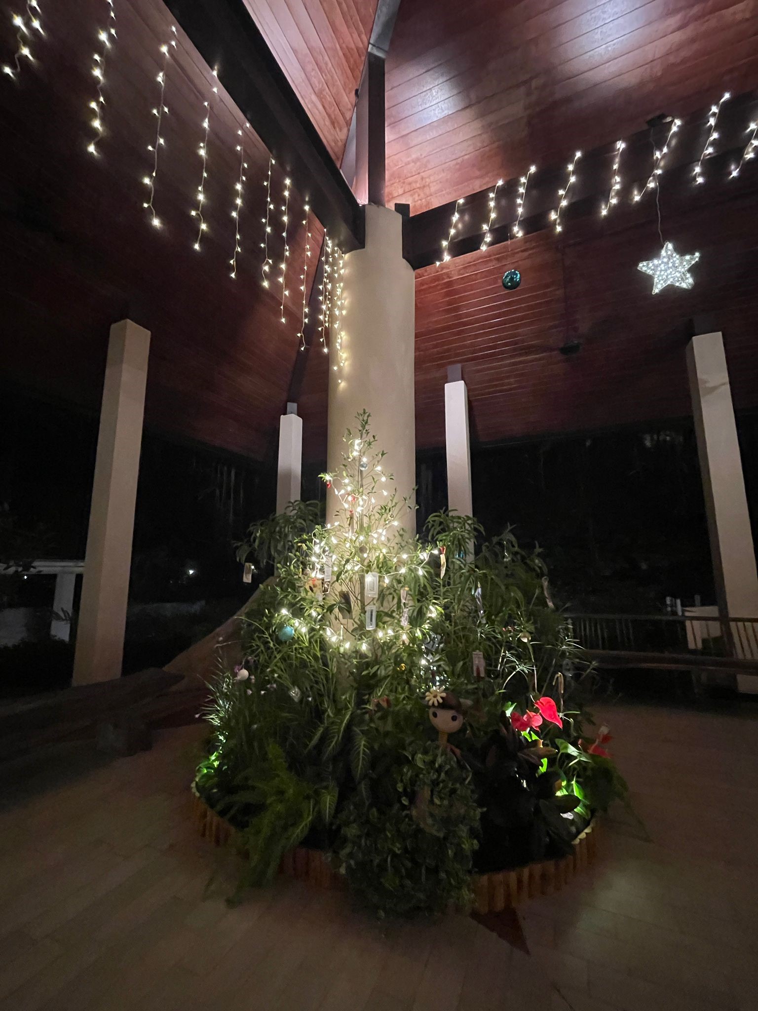 S'pore Botanic Gardens gets illuminated this Holiday Season with ...