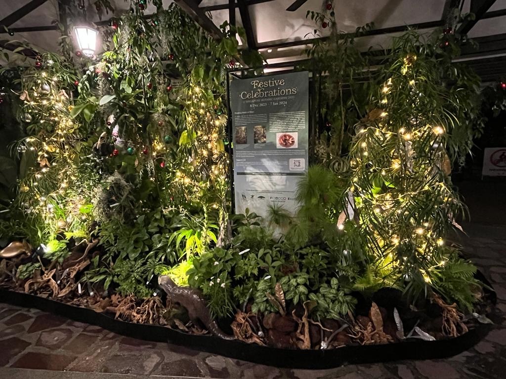 S'pore Botanic Gardens gets illuminated this Holiday Season with ...