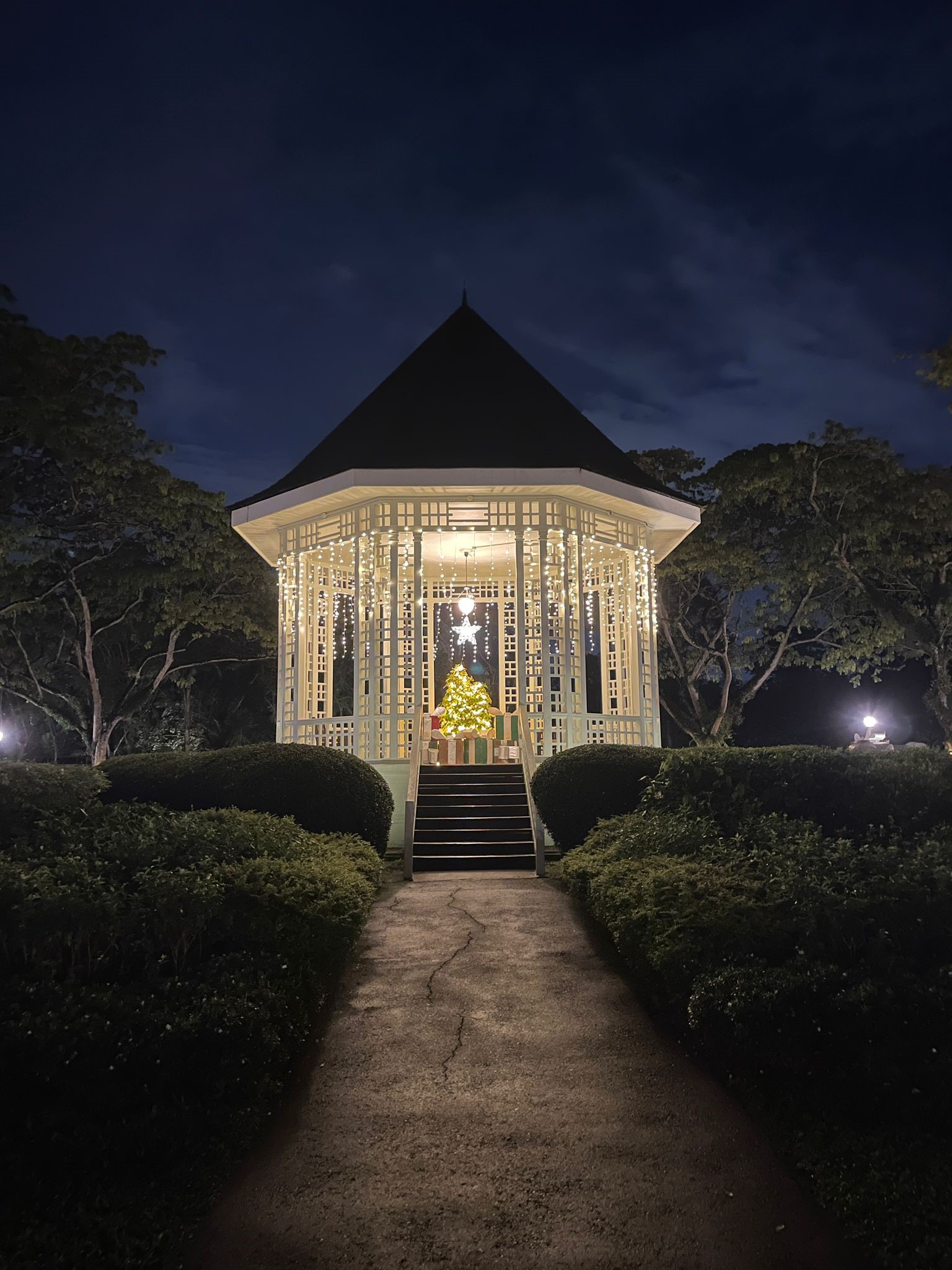 S'pore Botanic Gardens gets illuminated this Holiday Season with ...