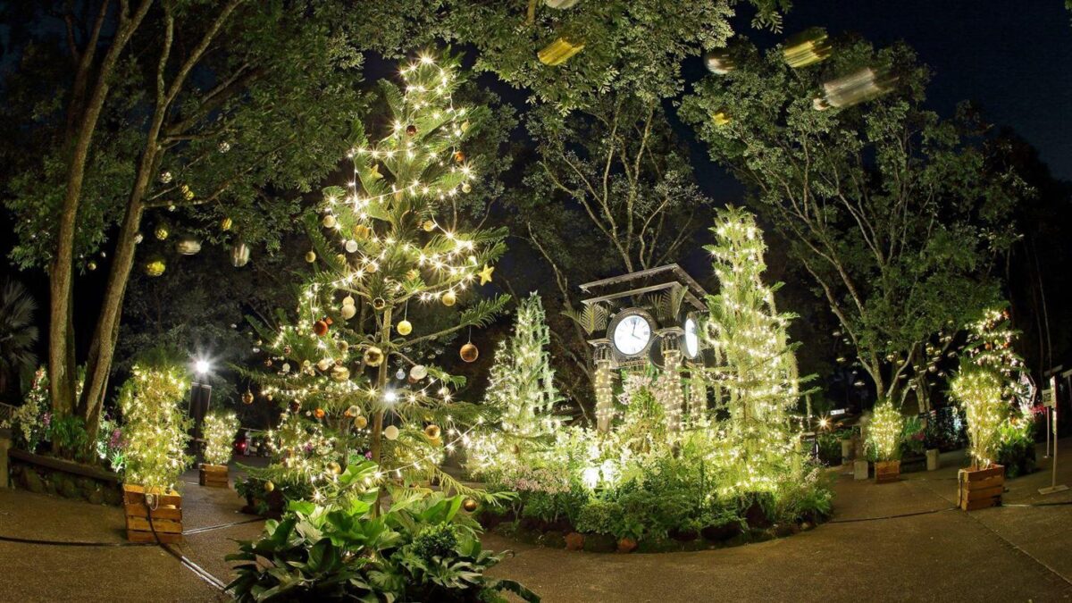 S'pore Botanic Gardens gets illuminated this Holiday Season with ...
