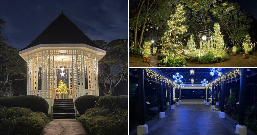 S'pore Botanic Gardens gets illuminated this Holiday Season with ...