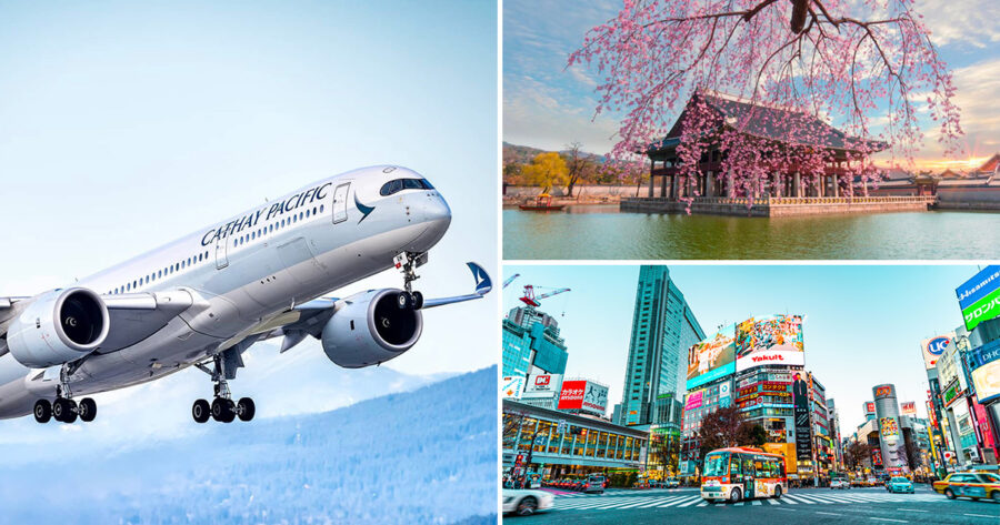 Cathay Pacific has Round-Trip Promo Fares to HK, Seoul, Tokyo & more from S$338 all-in when you ...