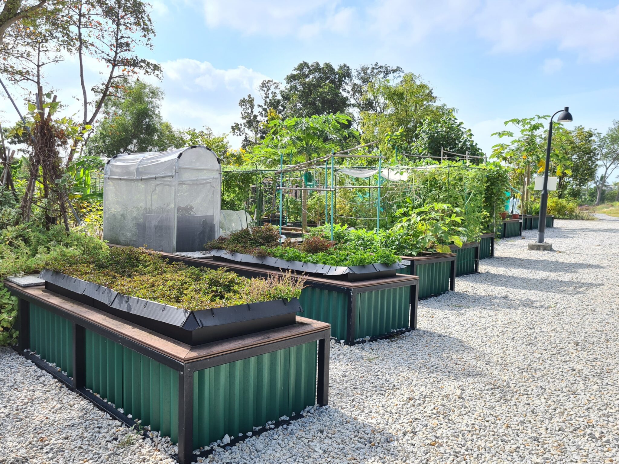 NParks to offer 180+ gardening plots at 6 locations to the public for ...