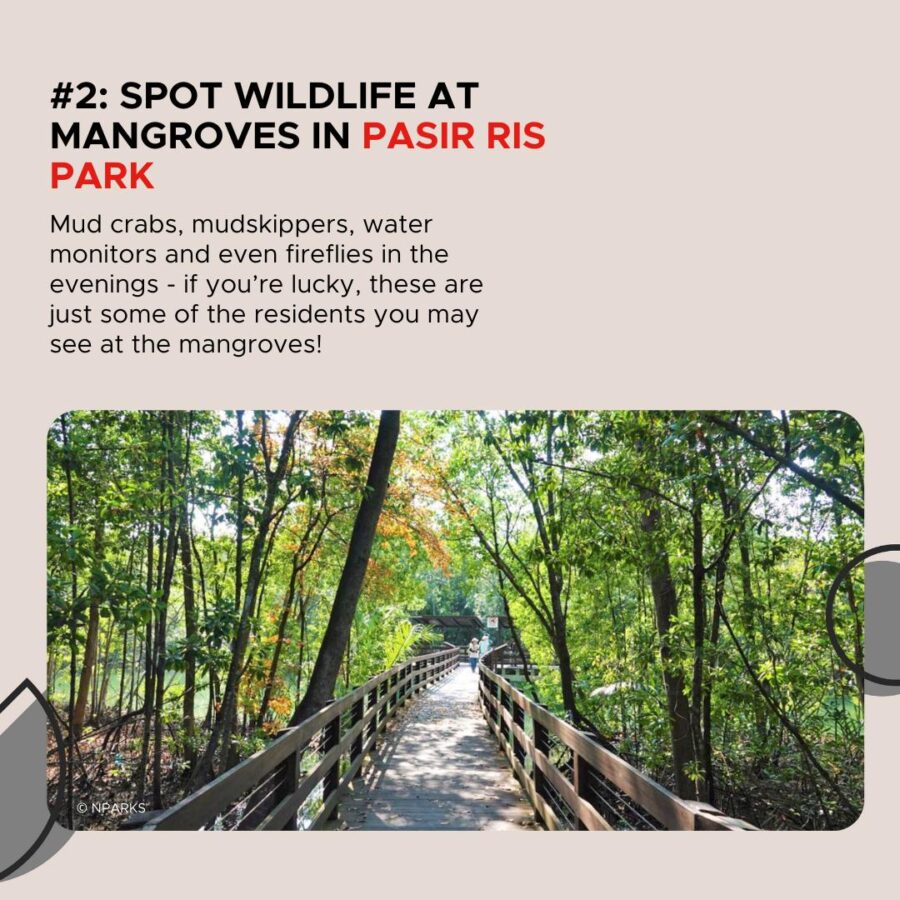 NParks newly-completed 18km Eastern Corridor now connects Pasir Ris ...