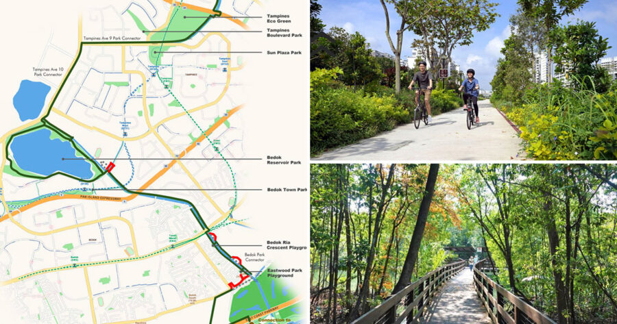 NParks newly-completed 18km Eastern Corridor now connects Pasir Ris ...