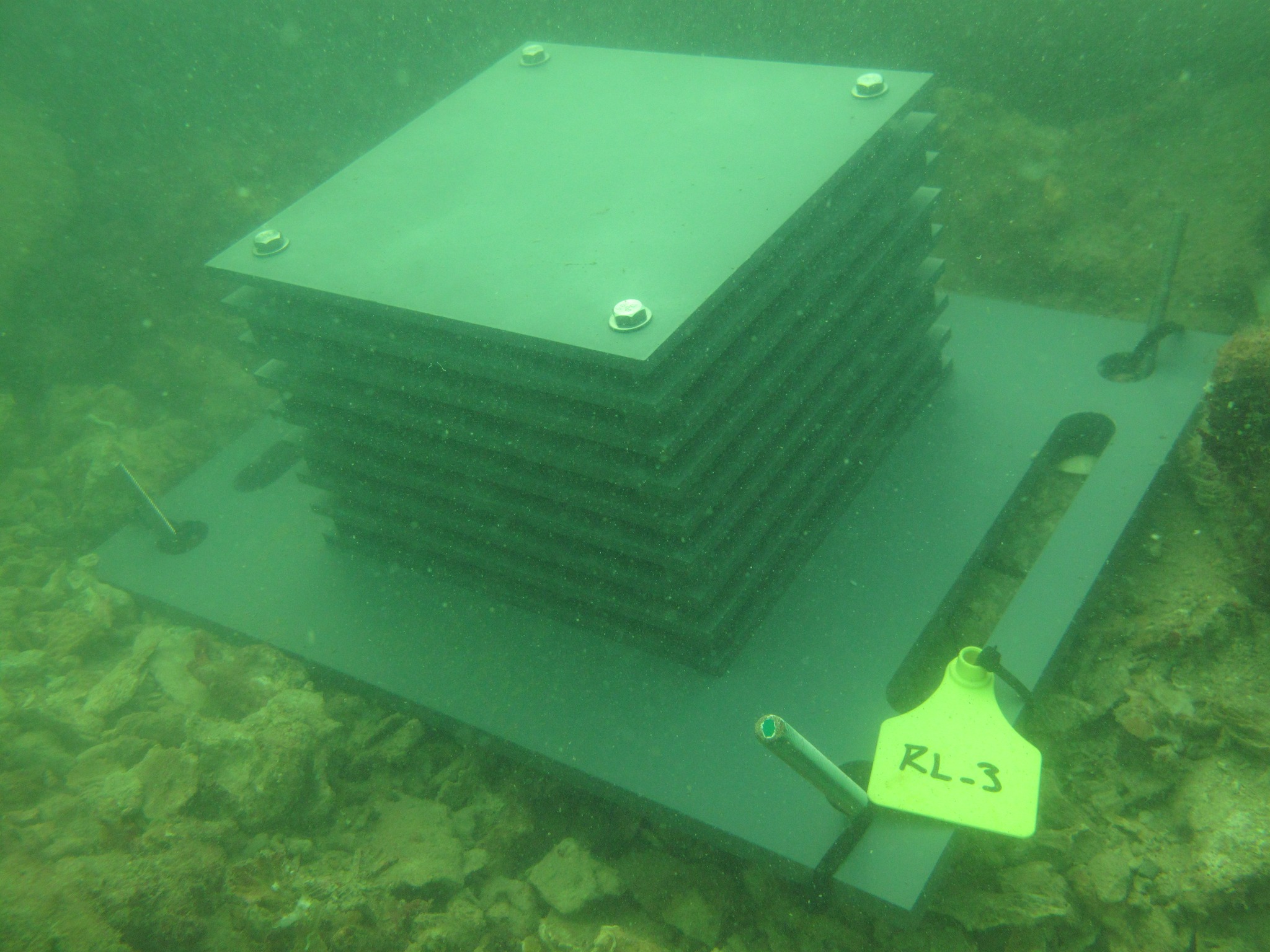 Enhanced Sisters’ Islands Marine Park opens with S'pore First Floating ...