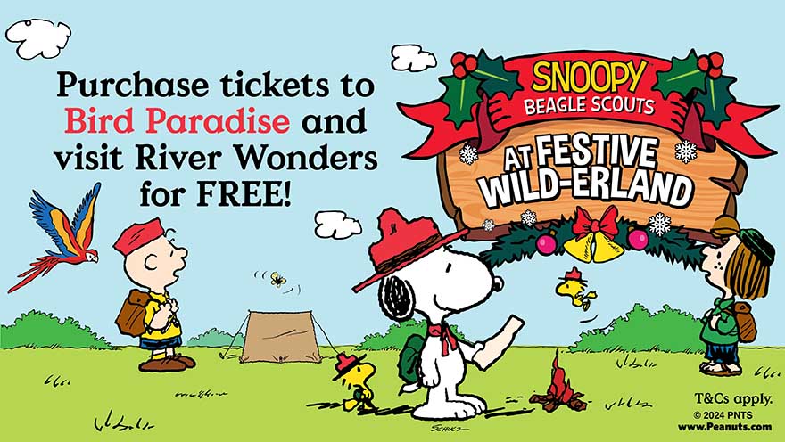 Mandai Wildlife Reserve offers 2-FOR-1 Promotion to Singapore Zoo, Bird ...