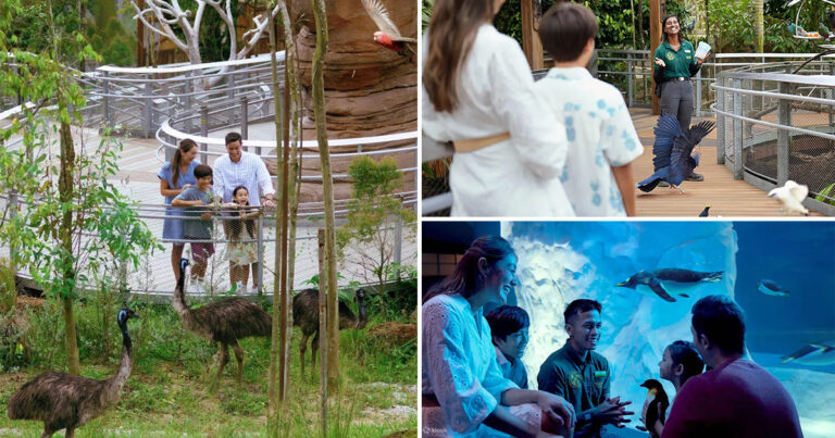 Jacob Ballas Children's Garden Waterplay Reopens with Giant Splash ...