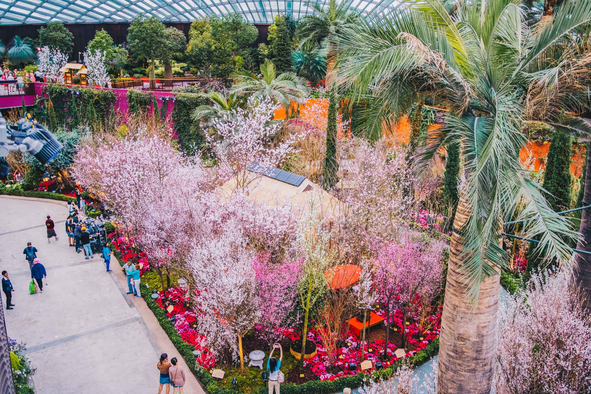 Gardens by the Bay’s SG60 Wonder Blooms Pass: Unlimited Access to ...