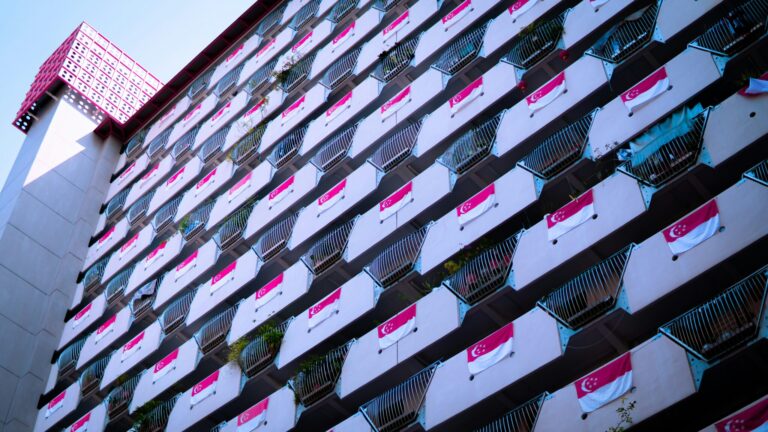 All Households Can Redeem FREE Singapore Flag at Shopee Collection ...