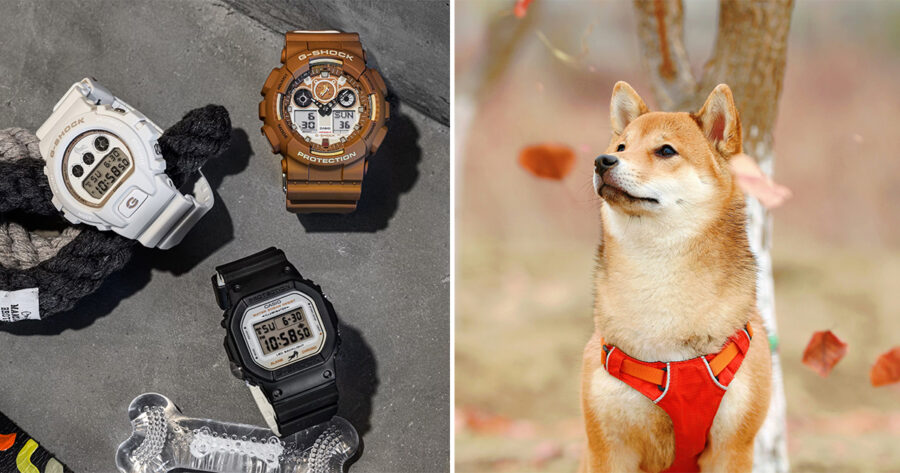 G-SHOCK Releases Made-in-Japan Shiba Inu Series in Singapore, Inspired ...