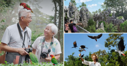 POSB x Mandai SG60 Deal: Seniors Enjoy Unlimited Entries to 5 Wildlife ...