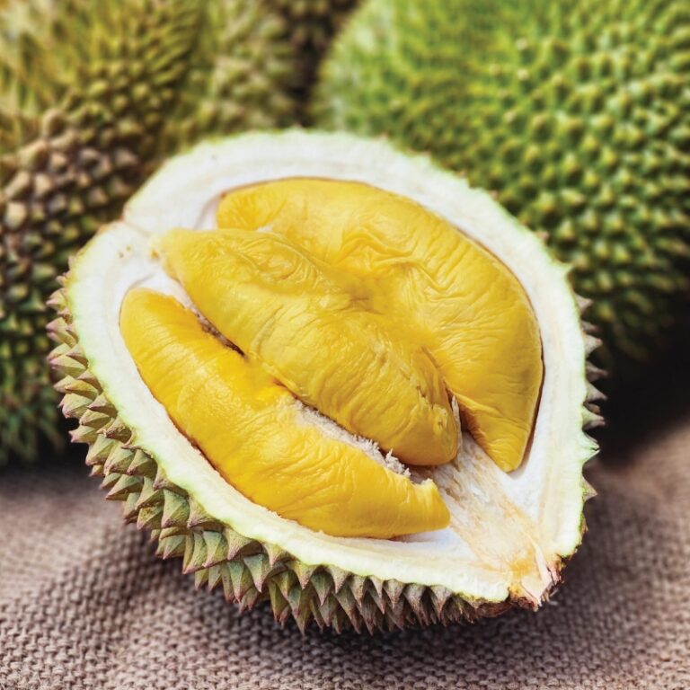 Giant’s Durian Buffet Party Returns to IMM with Unlimited Red Prawn ...