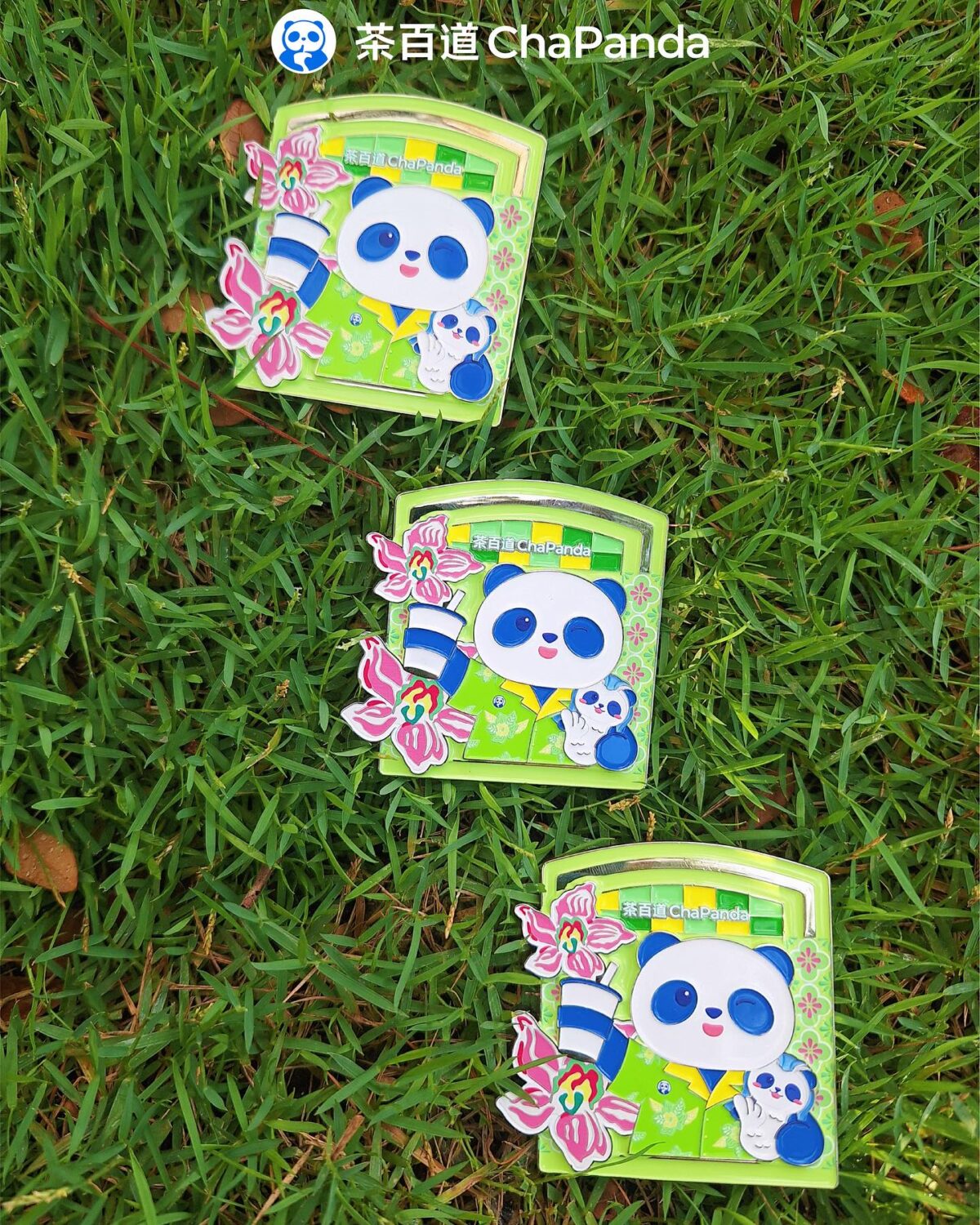 ChaPanda Makes Singapore Debut with Dual Openings at SCAPE and ...