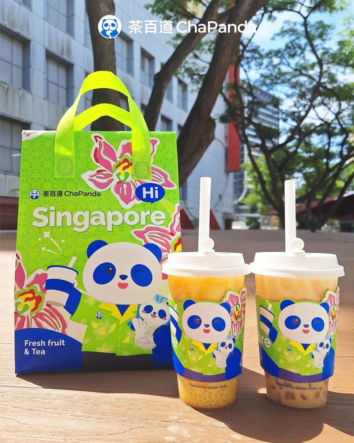 ChaPanda Makes Singapore Debut with Dual Openings at SCAPE and ...