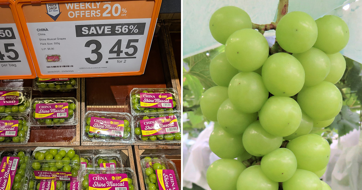 FairPrice Offers Shine Muscat Grapes at S$3.45 for 2 Packs Till Sept 3 ...