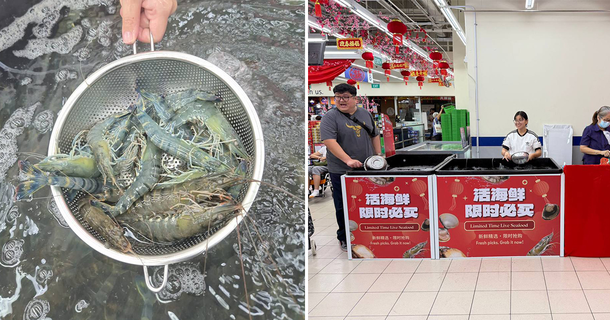 FairPrice Launches Limited-Time Live Tiger Prawns and Fresh Seafood ...