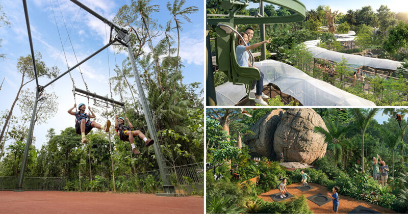 Rainforest Wild Adventure EAST Opens May 20 With First-in-Asia Wildlife ...